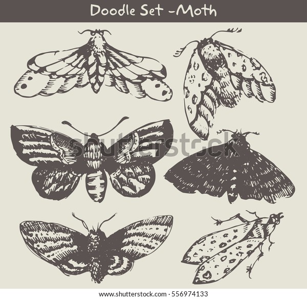 Moth Doodle Set Stock Vector (Royalty Free) 556974133 | Shutterstock