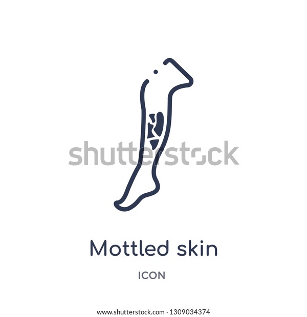 Mottled Skin Icon Sauna Outline Collection Stock Vector (Royalty Free ... Mottled Skin Icon Sauna Outline Collection Stock Vector (Royalty Free ...