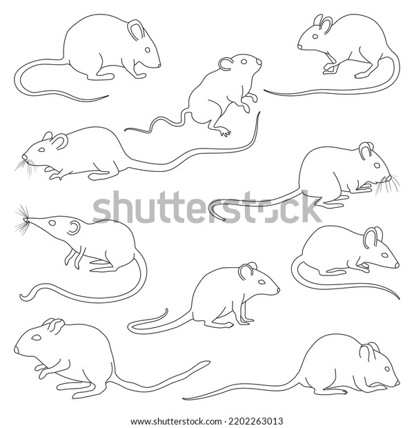 Mouse Animal Isolated Outline Set Icon Stock Vector (Royalty Free ...
