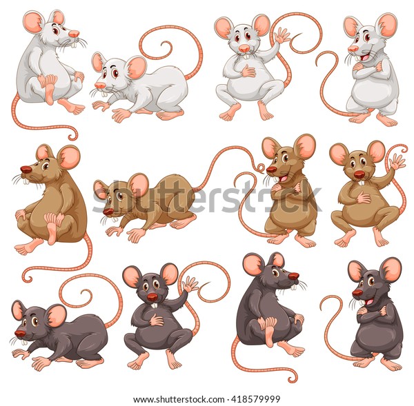 Mouse Different Fur Color Illustration Stock Vector (Royalty Free ...