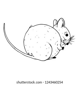 Mouse Hand Drawn Vector Illustration Cartoon Stock Vector (Royalty Free ...