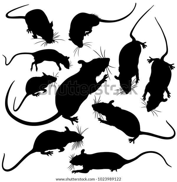 Mouse Silhouettes Set Stock Vector (Royalty Free) 1023989122 | Shutterstock