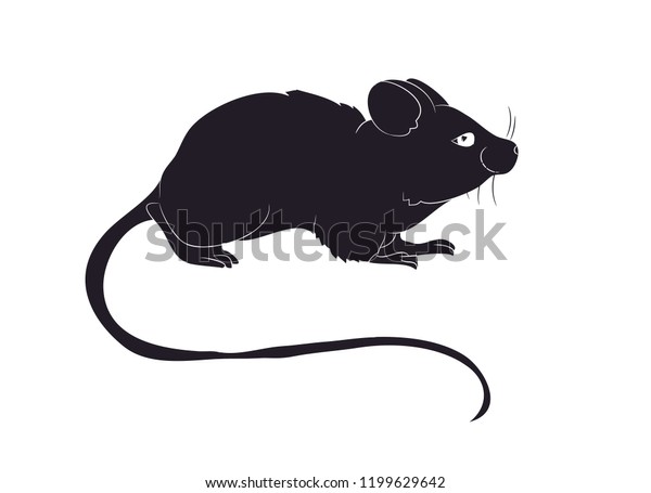 Mouse Stands Drawing Silhouette Vector White Stock Vector (Royalty Free ...