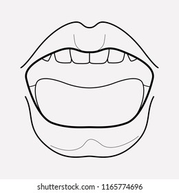 Labium Images, Stock Photos & Vectors | Shutterstock