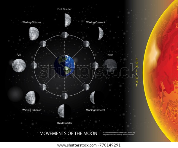 Movements Moon 8 Lunar Phases Realistic Stock Vector (Royalty Free ...