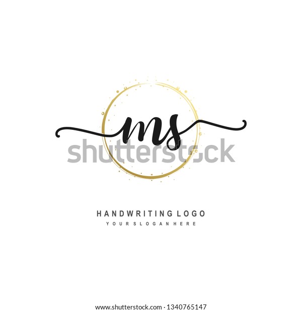 Ms Initial Signature Logo Handwriting Logo Stock Vector (Royalty Free ...