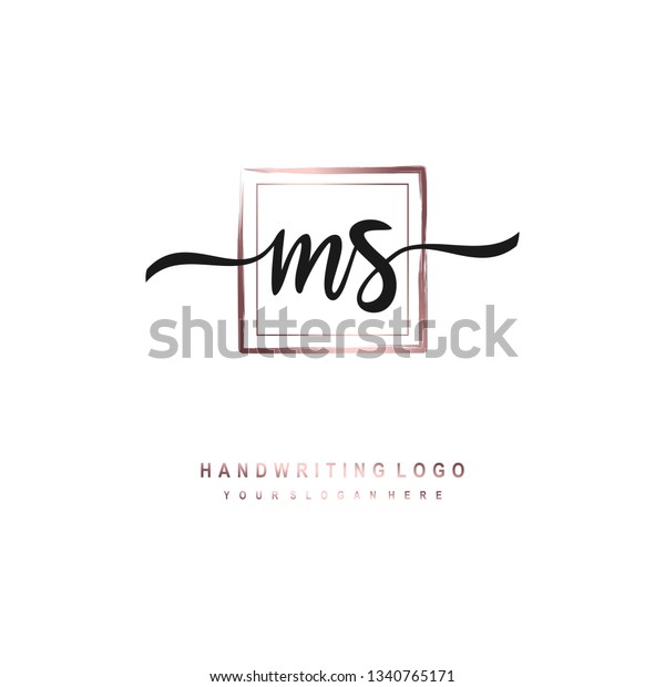 Ms Initial Signature Logo Handwriting Logo Stock Vector (Royalty Free ...