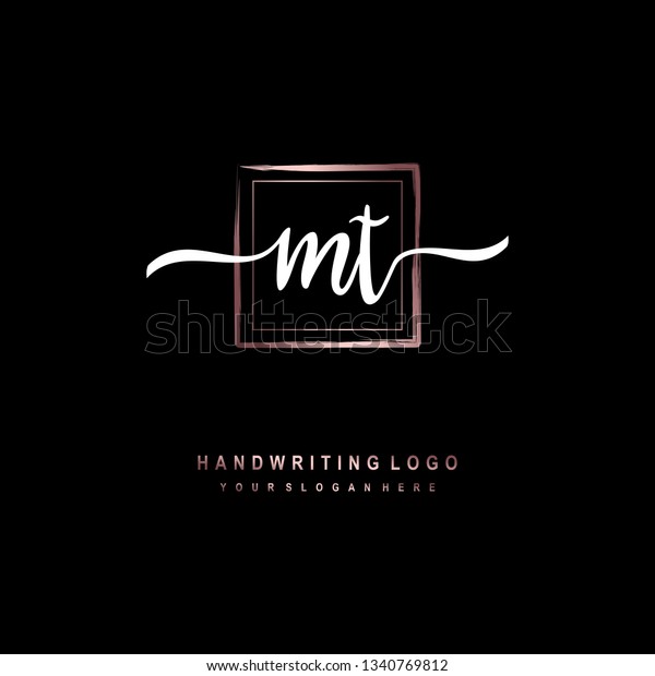 Mt Initial Signature Logo Handwriting Logo Stock Vector (Royalty Free ...