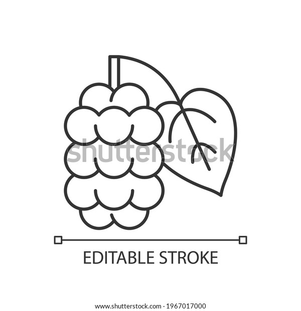 611 imagens de Mulberry logo Imagens, fotos stock e vetores | Shutterstock