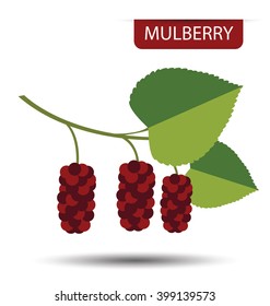 14,742 Mulberry icon Images, Stock Photos & Vectors | Shutterstock
