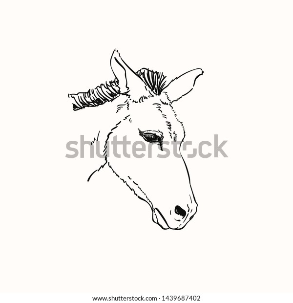 Cabeza de mula, boceto vectorial, ilustración: vector de stock (libre ...