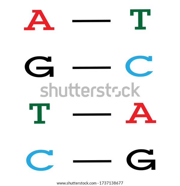Multicolored Letters Dna Structure Stock Vector (Royalty Free ...