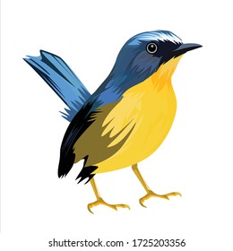 Murai Bird Vector Design Illustration Stock Vector (Royalty Free ...