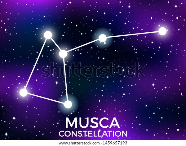 Musca Constellation Starry Night Sky Cluster Stock Vector (Royalty Free ...