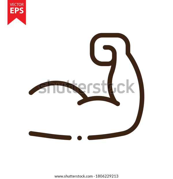 Muscle Line Icon Vector Gym Icon Stock Vector (Royalty Free) 1806229213 ...