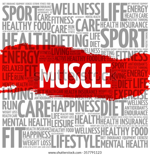 Muscle Word Cloud Background Health Concept Stock Vector (Royalty Free ...