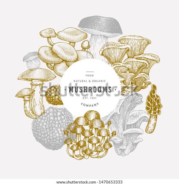 Mushroom Design Template Hand Drawn Vector Stock Vector (Royalty Free ...
