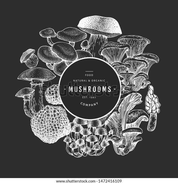 Mushroom Design Template Hand Drawn Vector Stock Vector (Royalty Free ...