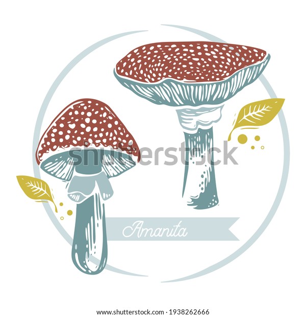 Mushroom Set Vector Illustrations Caption Amanita Stock Vector (Royalty ...