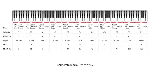 Piano Keyboard 88 Keys By Octaves Stock Vector (Royalty Free) 596125019 Piano Keyboard 88 Keys By Octaves Stock Vector (Royalty Free) 596125019
