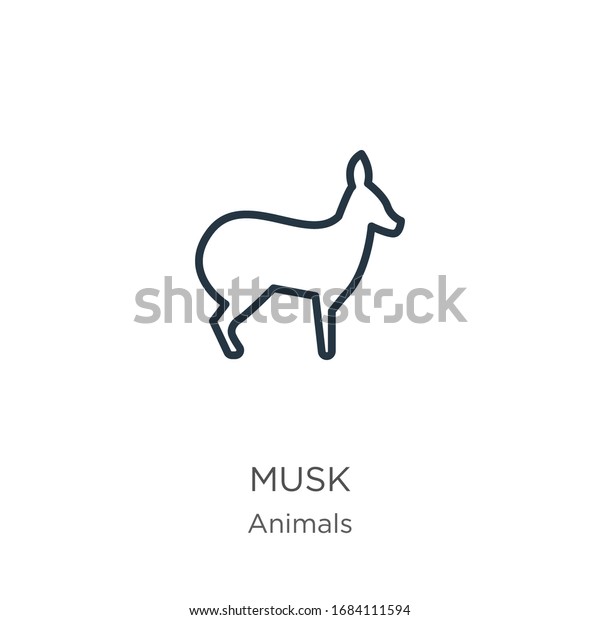 Musk Icon Thin Linear Musk Outline Stock Vector (Royalty Free ...