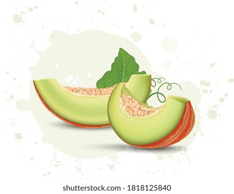1,412 Muskmelon Stock Vectors, Images & Vector Art | Shutterstock