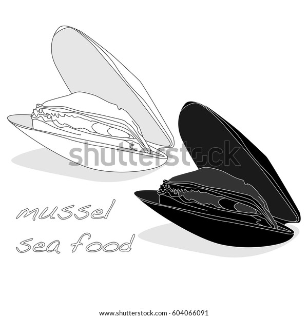 Mussels Vector Illustration On White Background Stock Vector (Royalty ...