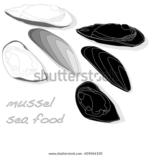 Mussels Vector Illustration On White Background Stock Vector (Royalty ...