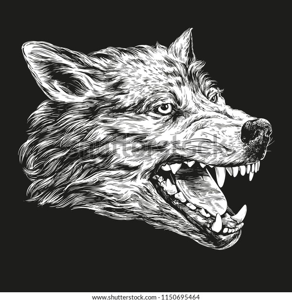 Muzzle Wolf Wildlife Hand Drawn Vector Stock Vector (Royalty Free ...