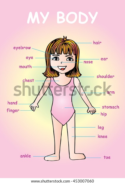 「My Body Educational Info Graphic Chart」のベクター画像素材（ロイヤリティフリー） 453007060 ...