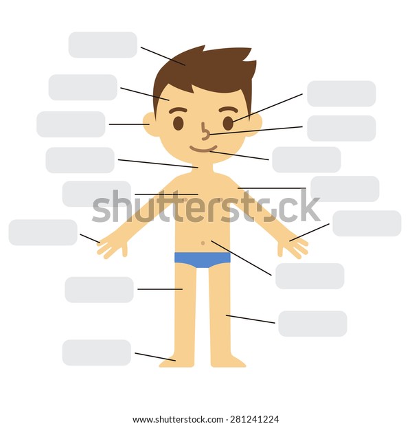 My Body Educational Infographic Chart Kids Stock Vector (Royalty Free ...