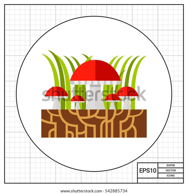 Mycelium Mushrooms Icon Stock Vector (Royalty Free) 542885734 ...