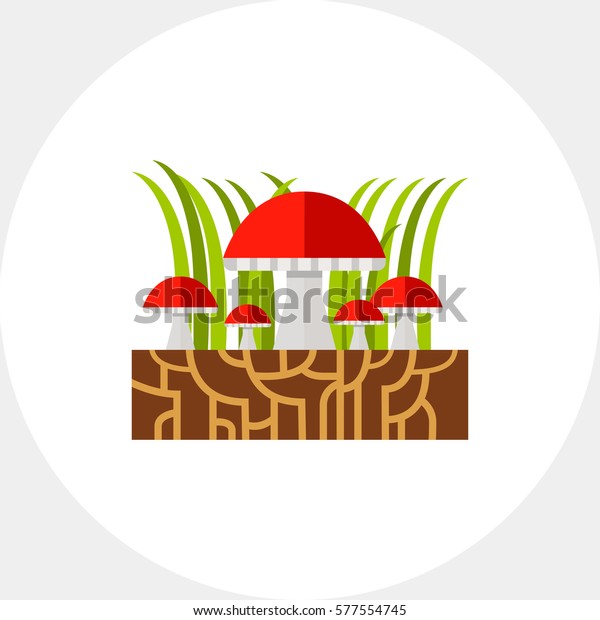 Mycelium Mushrooms Icon Stock Vector (Royalty Free) 577554745 ...