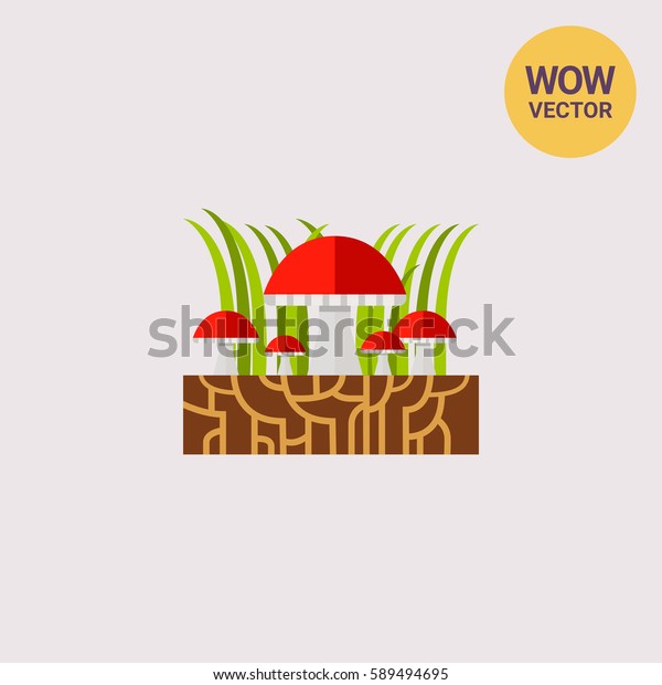 Mycelium Mushrooms Icon Stock Vector (Royalty Free) 589494695 ...