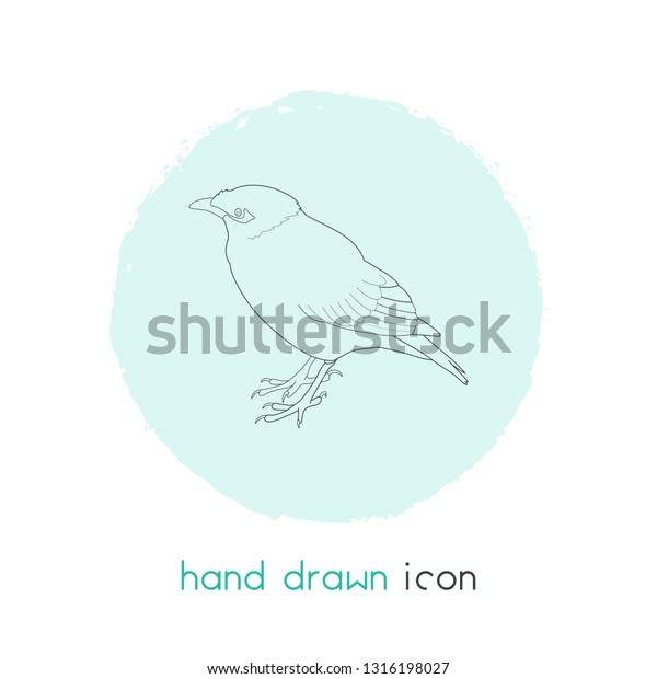 Myna Icon Line Element Vector Illustration Stock Vector (Royalty Free ...