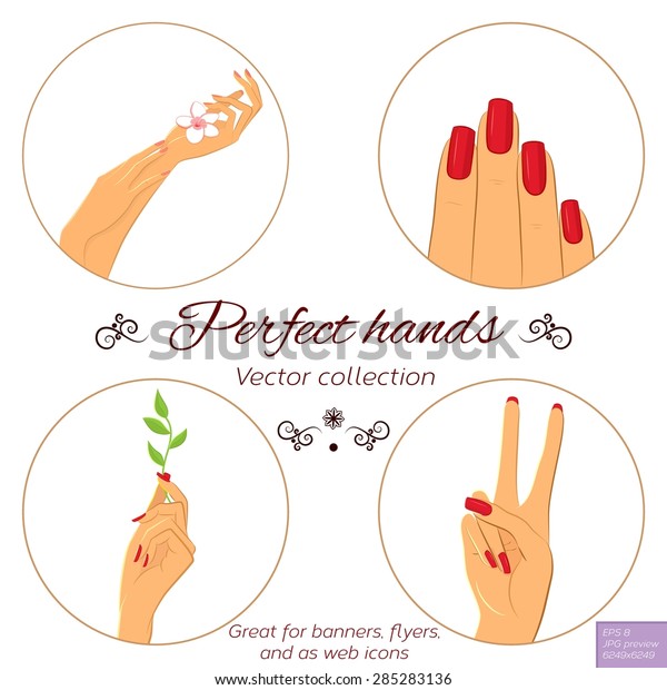 Nail Hand Care Illustration Set Elegant Stock Vector (Royalty Free ...