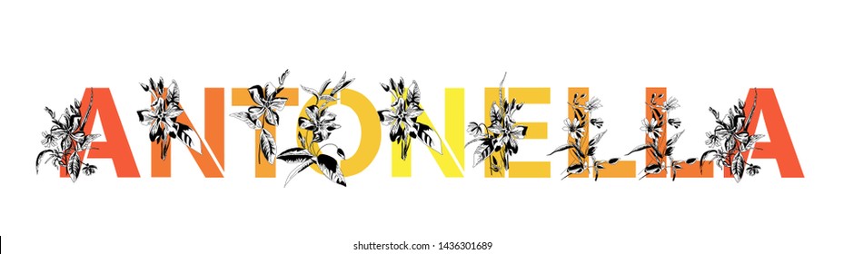 Name Antonella Font Composition Named Antonella: vector de stock (libre ...