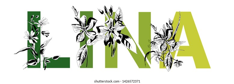 Name Lina Font Composition Named Lina: vector de stock (libre de ...