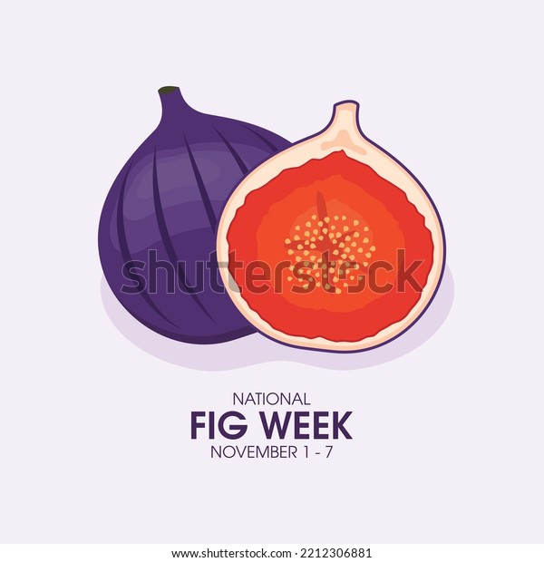 National Fig Week Vector Whole Halved Stock Vector (Royalty Free ...