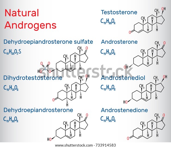 Natural Androgens Steroid Hormone Structural Chemical Stock Vector ...