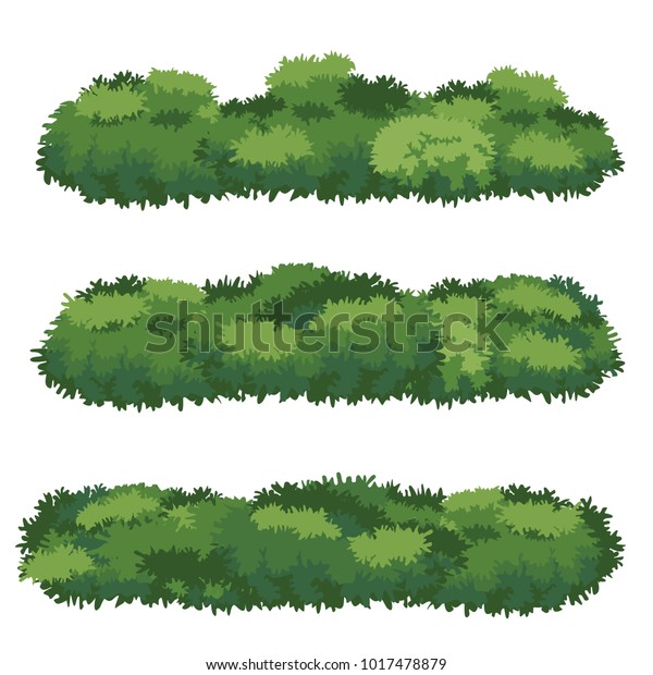 Natural Bush Vector Stock Vector (Royalty Free) 1017478879