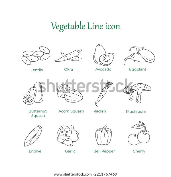 Natural Fresh Healthy Vegetable Vector Line Stock Vector (Royalty Free ...