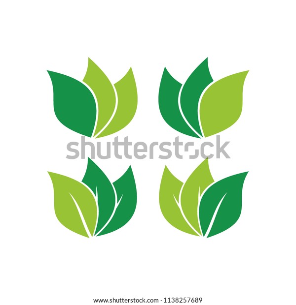 Natural Leaf Icon Vector Illustration Design Stock Vector (Royalty Free ...