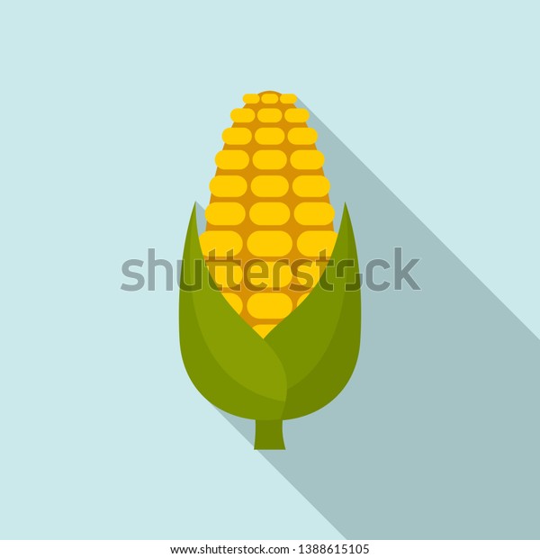 Natural Maize Icon Flat Illustration Natural Stock Vector (Royalty Free ...