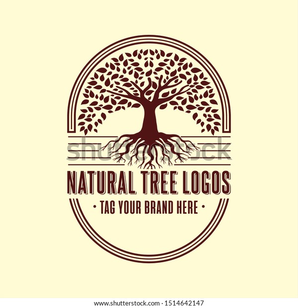 Natural Tree Logos Different Styles Stock Vector (Royalty Free ...