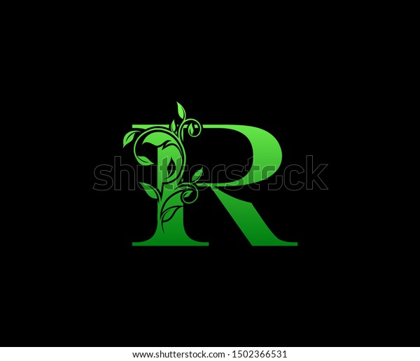 Nature Letter R Leaf Icon Logo Stock Vector (Royalty Free) 1502366531 ...