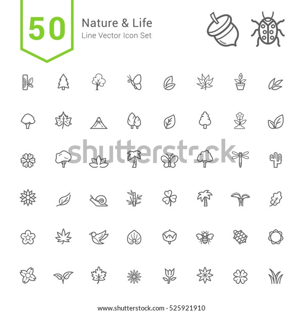 Nature Life Icon Sets 50 Line Stock Vector (Royalty Free) 525921910 ...