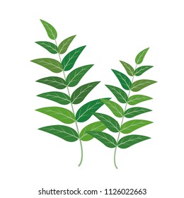 133 Curry leaves painting Images, Stock Photos & Vectors | Shutterstock