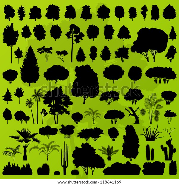 Nature Tree Bush Scrub Palm Cactus Stock Vector (Royalty Free) 118641169
