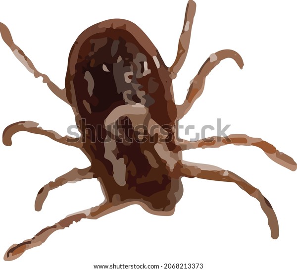Nature Vector Image Isolated Wood Tick Stock Vector (Royalty Free ...